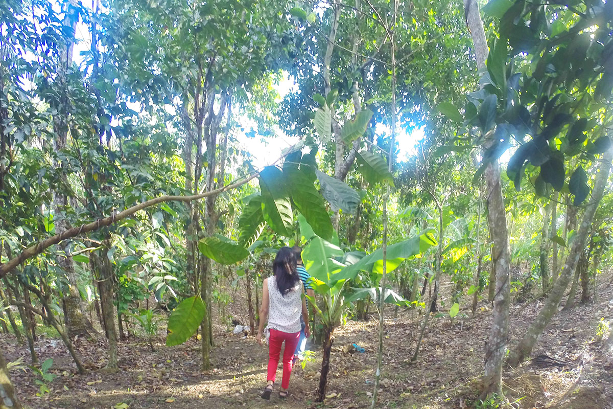 Mataasnakahoy, Batangas – Farm Lot for Sale AL1 – Batangas House and ... Mataasnakahoy, Batangas – Farm Lot for Sale AL1 – Batangas House and ...
